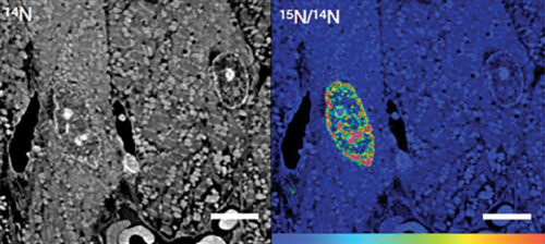 Dynamic Secondary Ion Mass Spectrometry - Wiley Science and Engineering ...